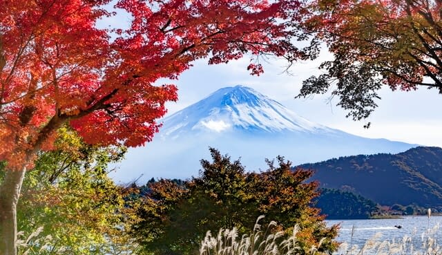 Top 10 Spots to See Autumn Leaves in Japan | Best Fall Foliage