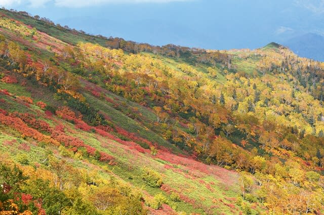 Top 10 Spots to See Autumn Leaves in Japan | Best Fall Foliage